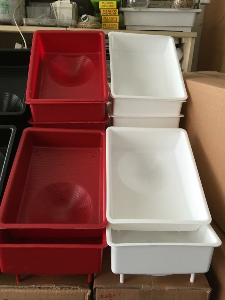 Parrot Birds Nesting Tub – Swan Regency